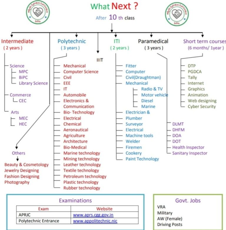 What's Next After 10th - Bajrai Online Solutions