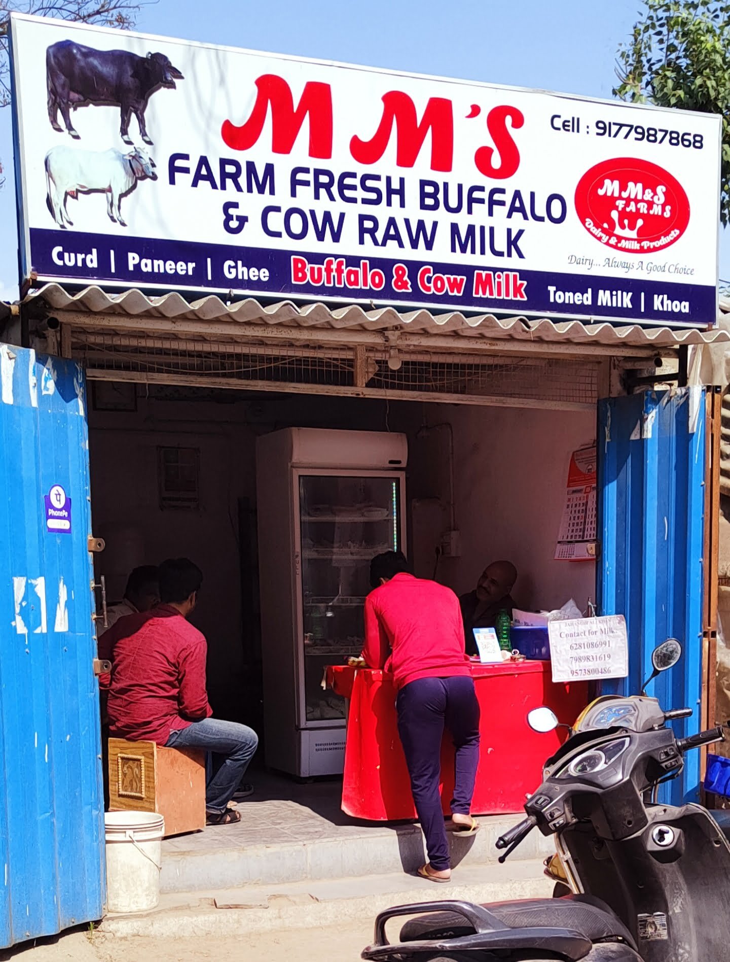 MM'S Dairy Farm in First Lancer - Bajrai Online Solutions