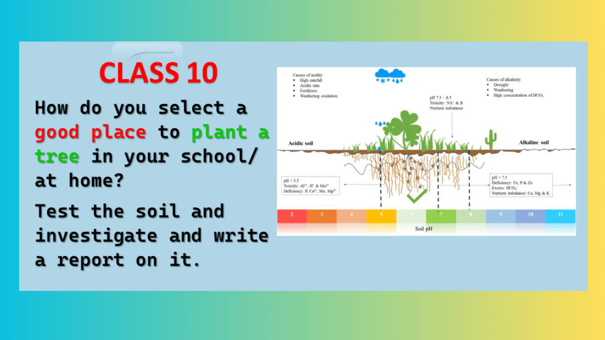 How do you select a good place to plant a tree? pH of the Soil - Bajrai ...